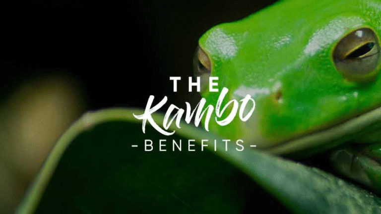 Kambo Medicine Ceremony Guide | Pachamama Sanctuary